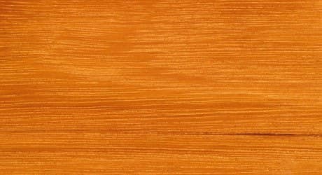 WR Timbers - Species American Rock Maple