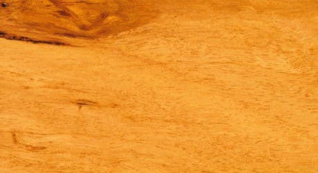 WR Timbers - Species Yellow Stringybark