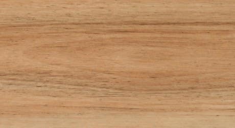 WR Timbers - Species Tasmanian Oak