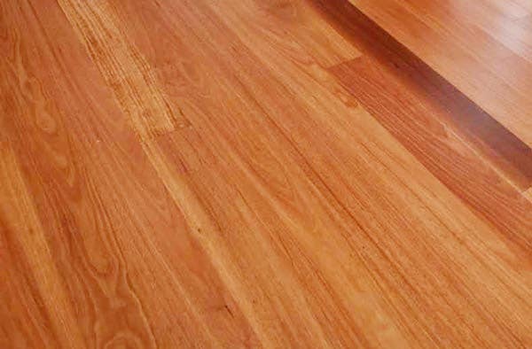 WR Timbers - Species Silvertop Stringybark