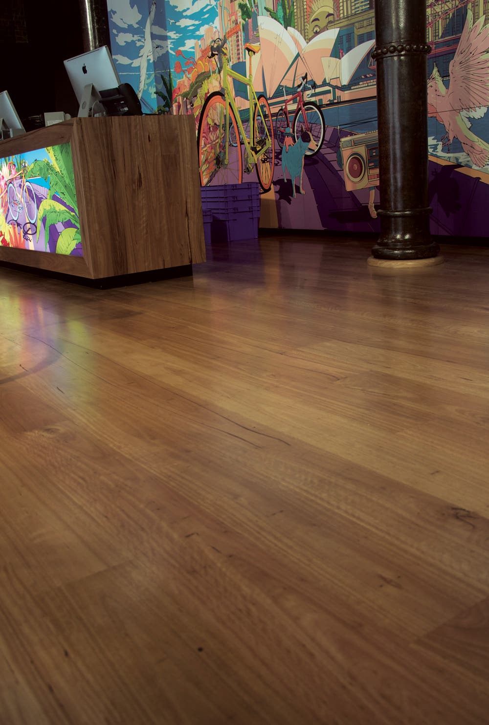 WR Timbers - Species Blackbutt